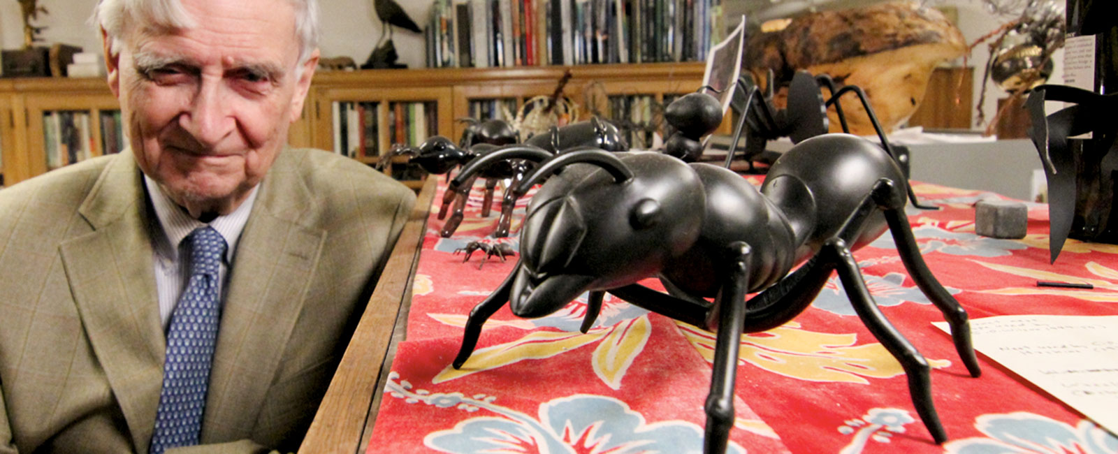 Premio Fundación BBVA Fronteras del Conocimiento a Edward O. Wilson ...