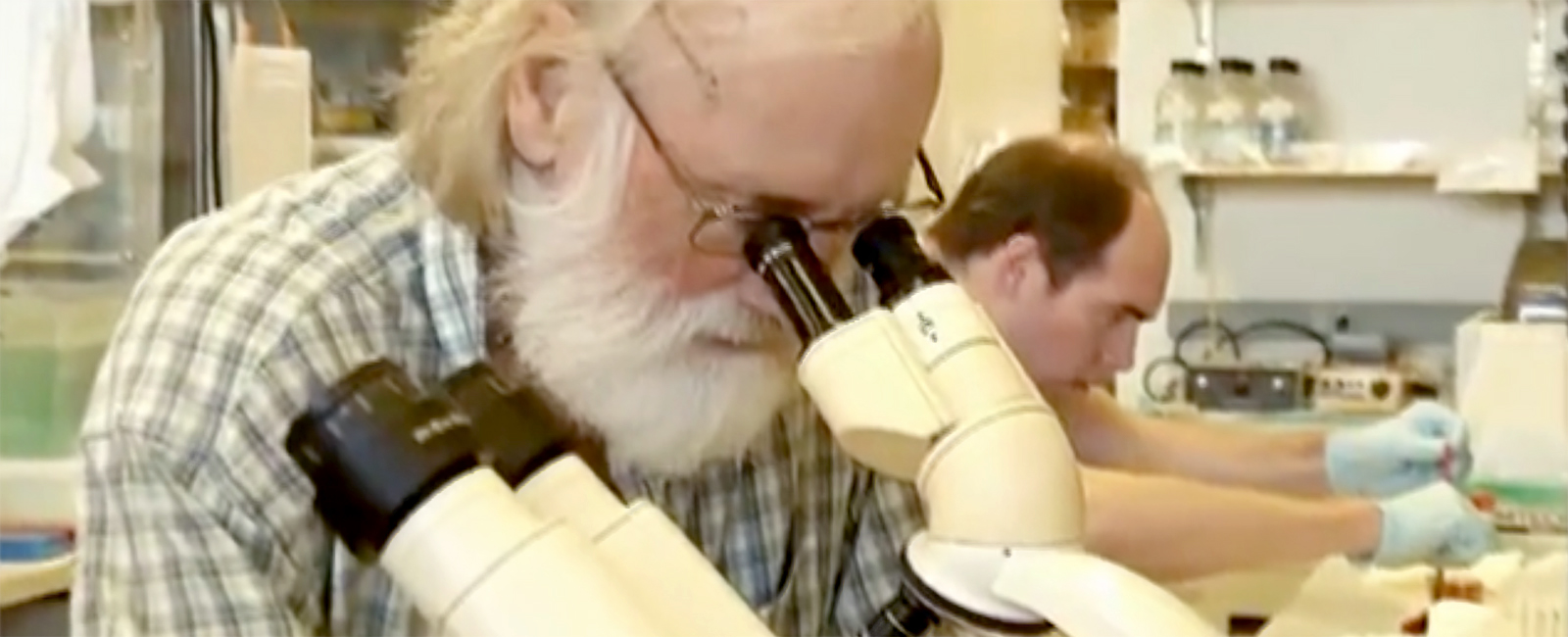 Premio Fundación BBVA Fronteras del Conocimiento en Biomedicina a Tony ...